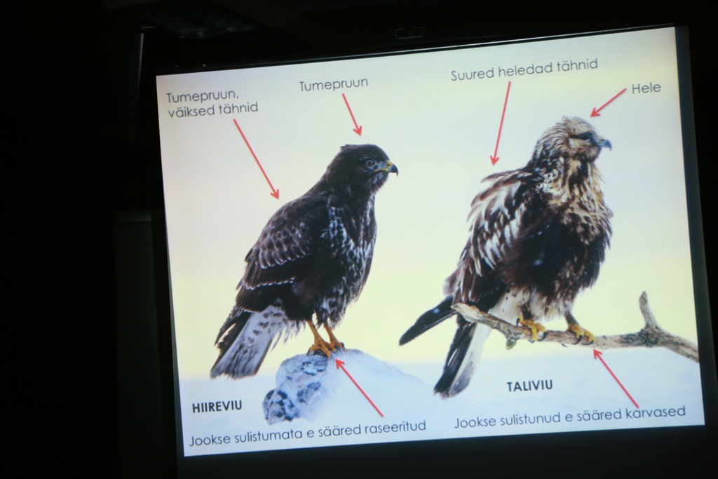 Aarne Tuule tutvustas läänlastele viusid - Lääne Elu