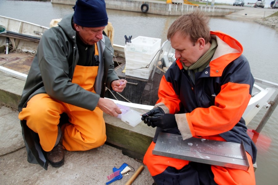 Asjatundjad peavad Matsalu kalapüügipiirangute lõdvendamist valeks ...