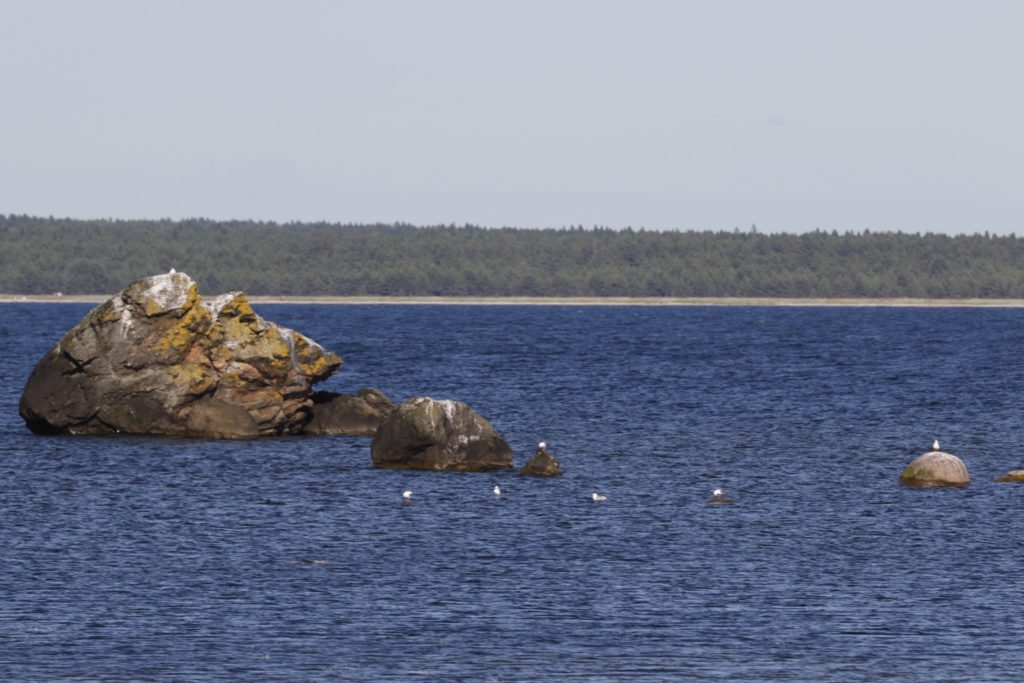 Galerii: Nõva sadam sai ujuvkai - Lääne Elu