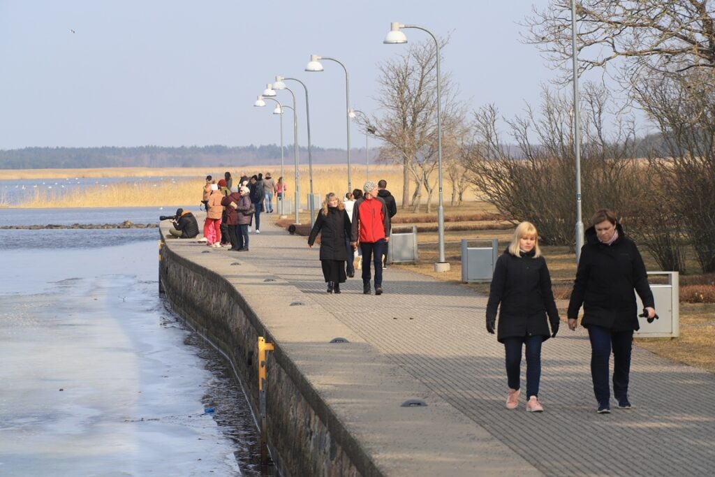 Galerii: soe kevadpäev tõi rahva Haapsalu promenaadile - Lääne Elu