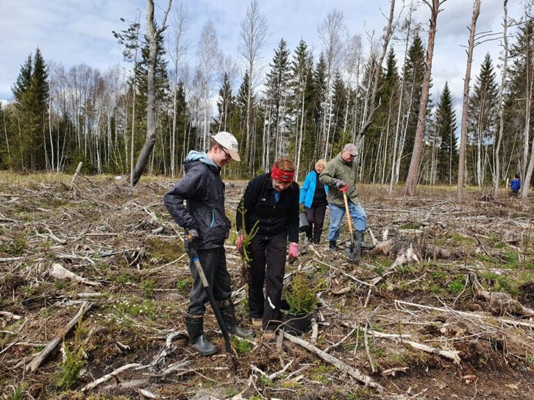 Lihula lõvid toetavad Massu ratsaklubi - Lääne Elu